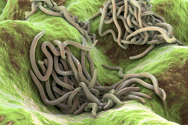 Springmask Stockfotografier, royaltyfria Springmask bilder | Depositphotos