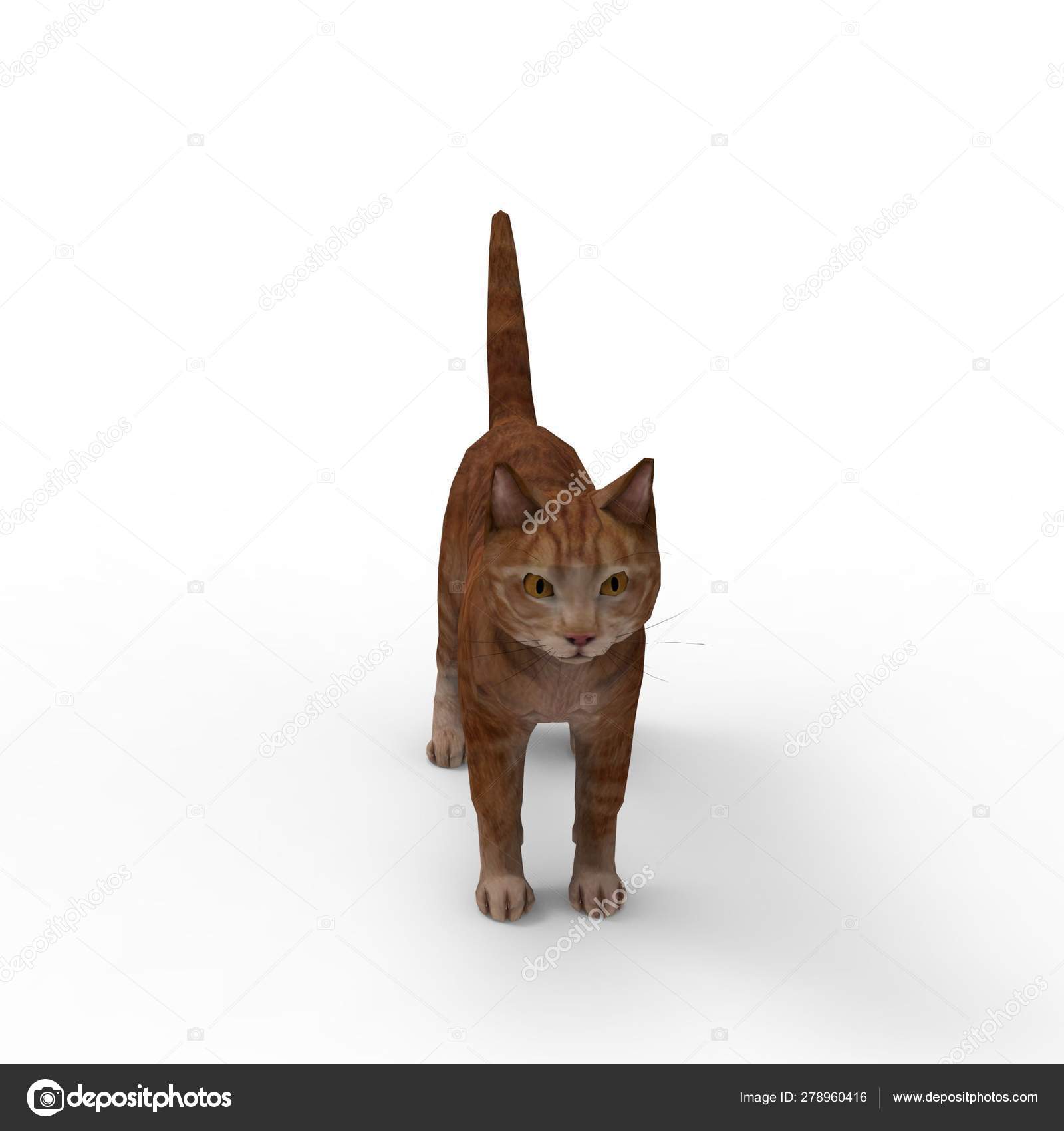 Illustration Cat Rendering Cat Created Using Blender Tool — Stock Photo ...
