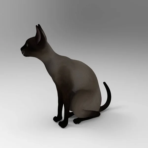 Cat 3d Stock Photos, Royalty Free Cat 3d Images | Depositphotos