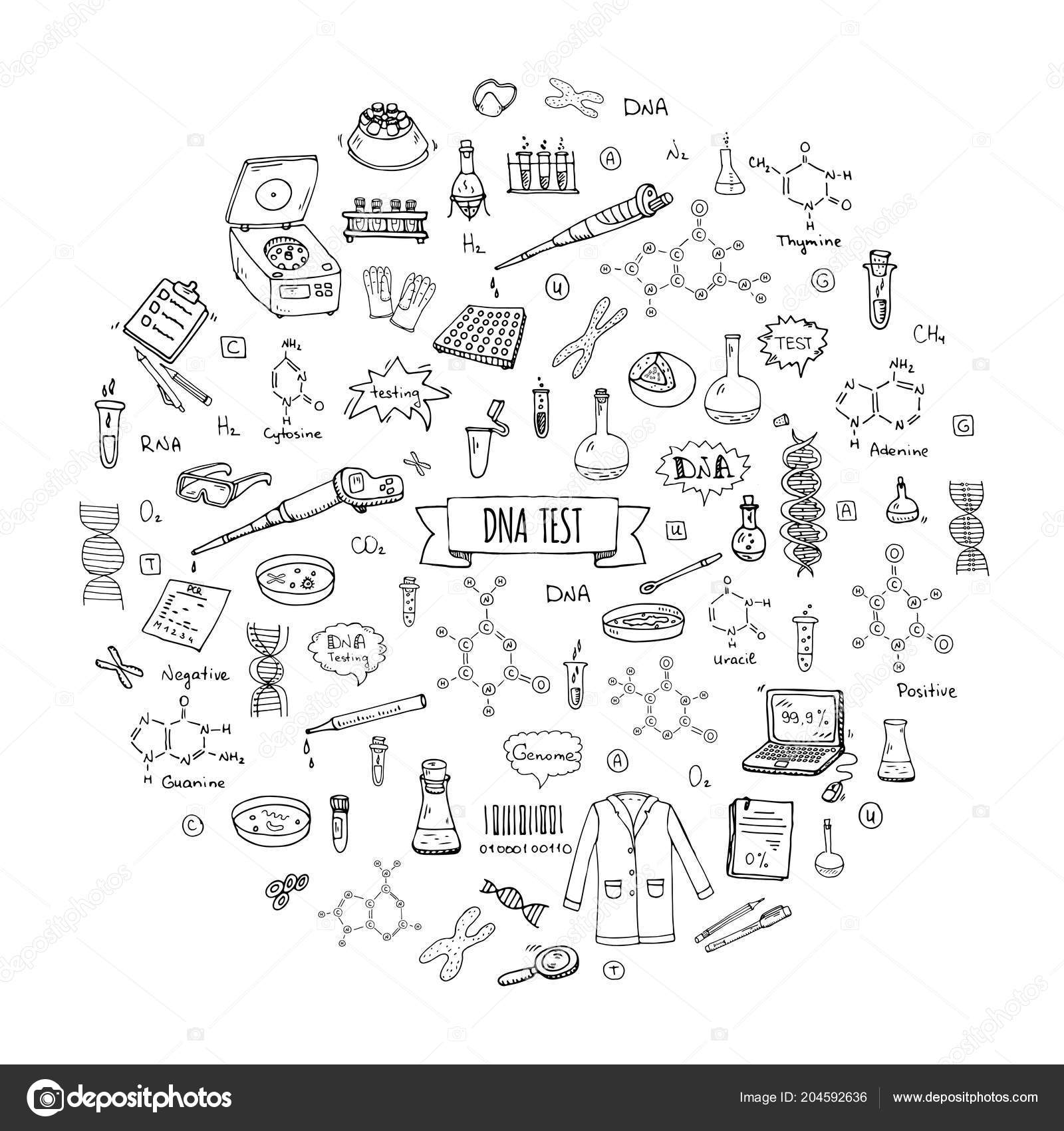 Hand Drawn Doodle Dna Test Icons Set Vector Illustration Medical ⬇ ...