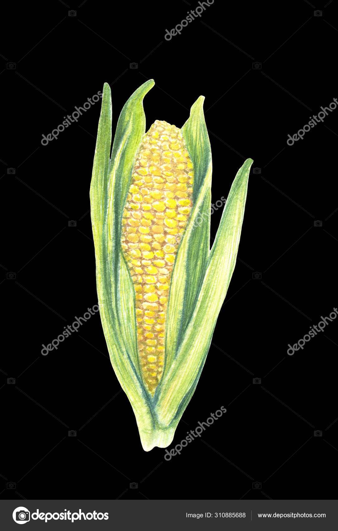 Corn Painting