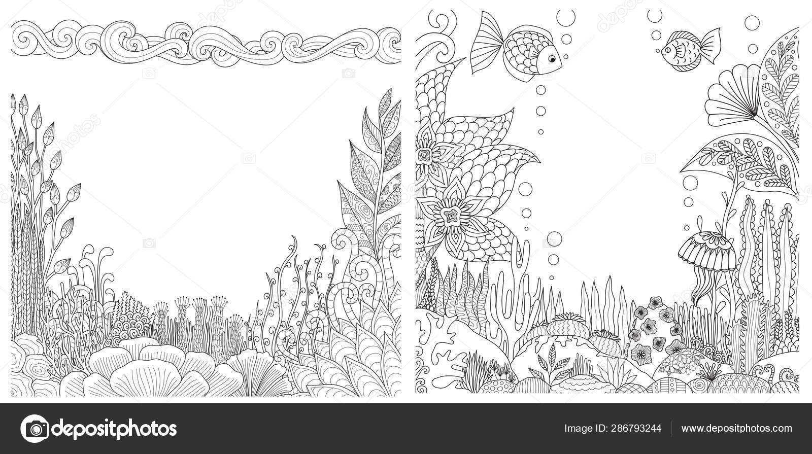 Line Art Floral Coral Reefs Rocks Fish Collection Copy Space Stock ...