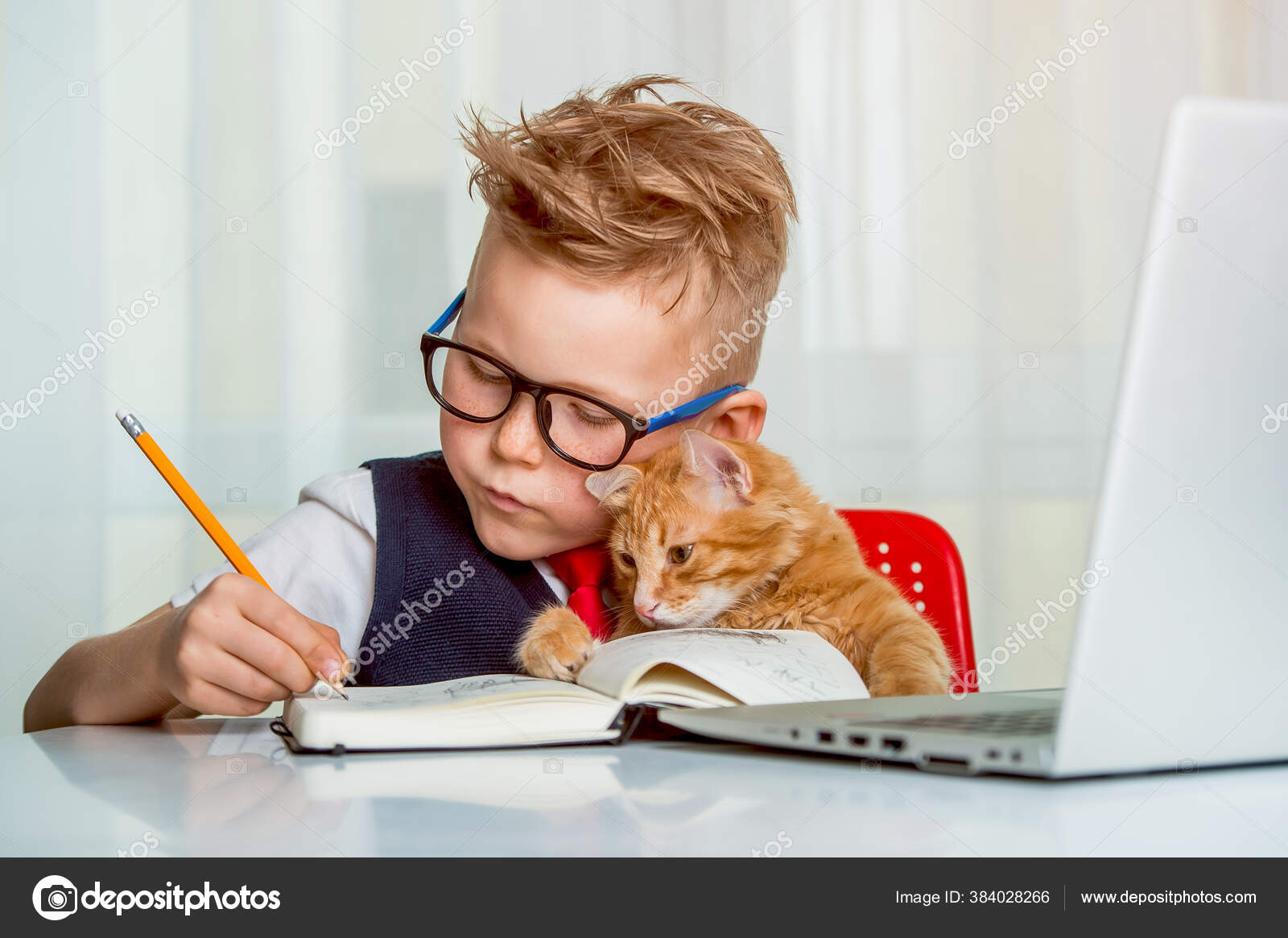 Cat Doing Homework