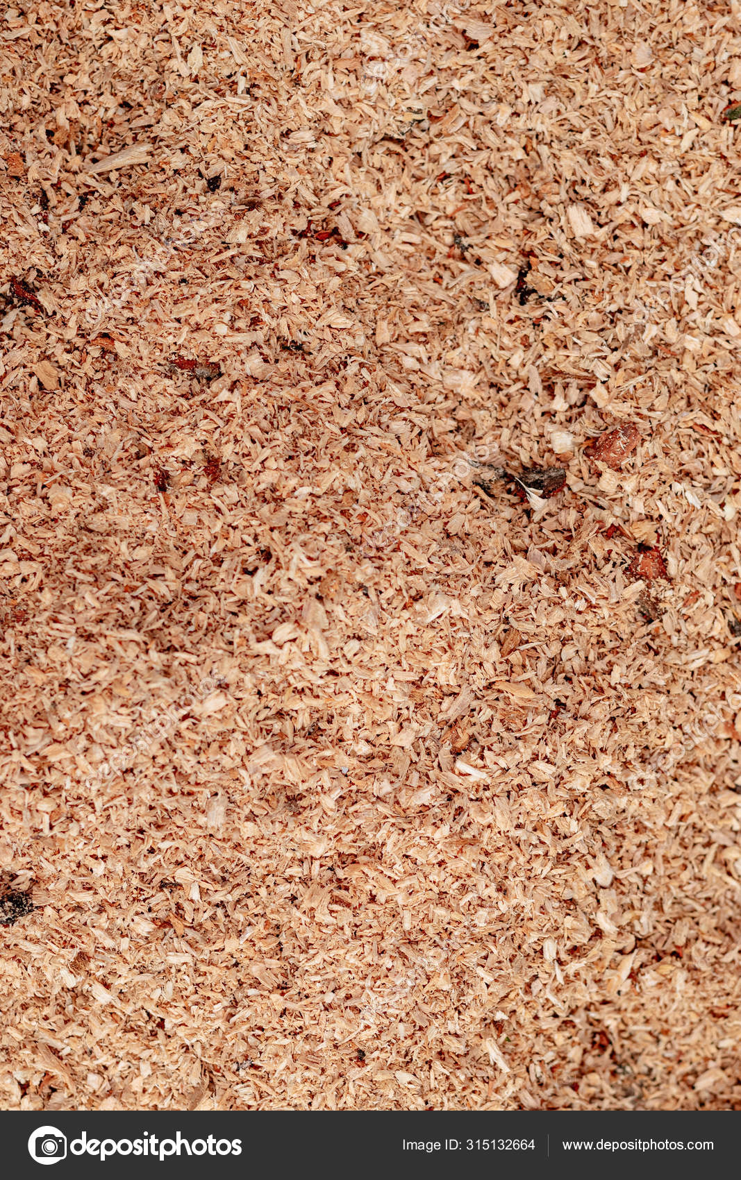 Sawdust or wood dust texture background. Wood sawdust background ...