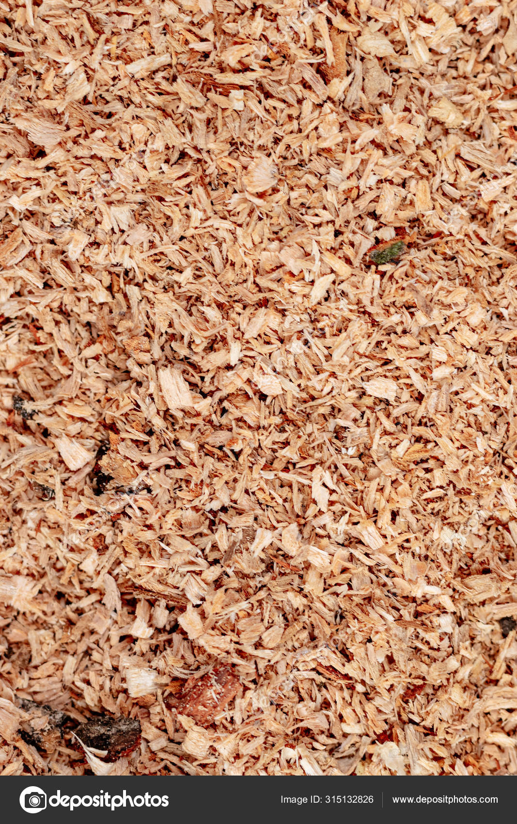 Sawdust or wood dust texture background. Wood sawdust background ...