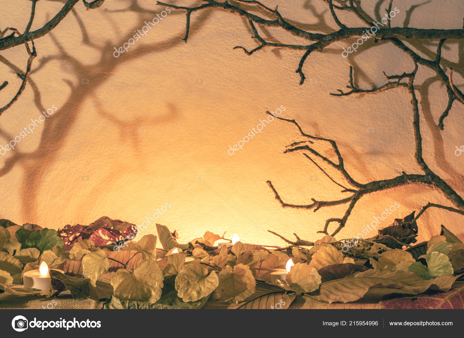 Spooky Horror Background Dry Branch Leaf Warm Tone Color Halloween ⬇ ...