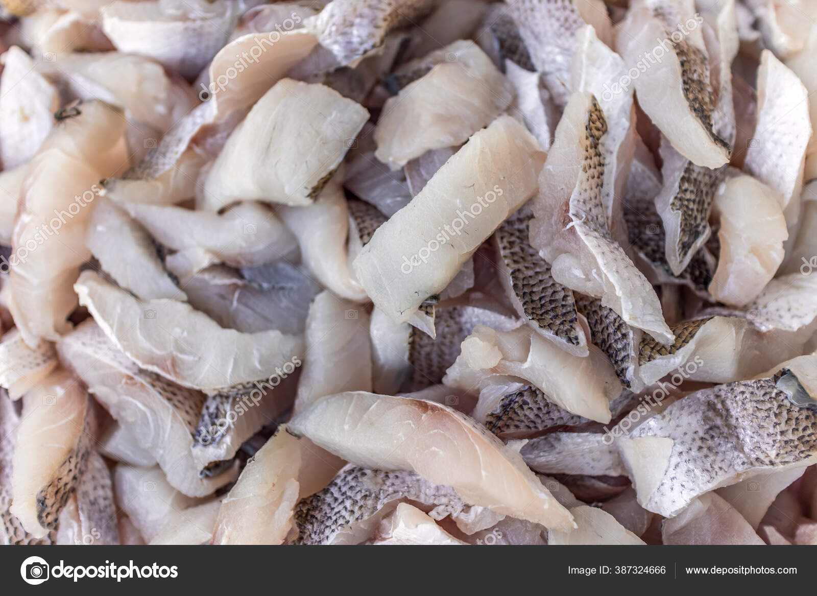 Fresh Fish Meat Delicious Food Ingredient Cooking — Stock Photo ...