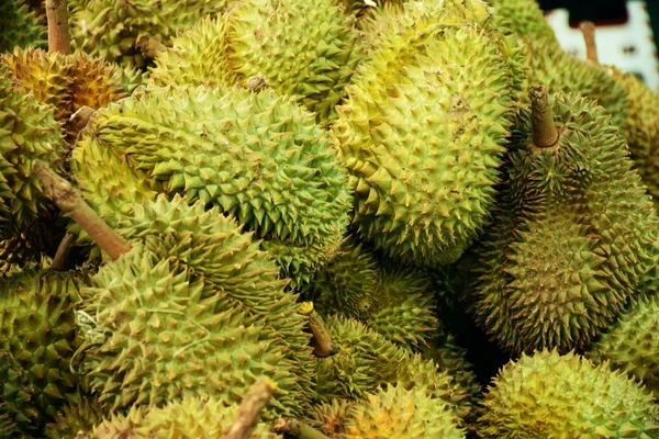 Durian Fruit Stock Photo by ©singkham 13663163