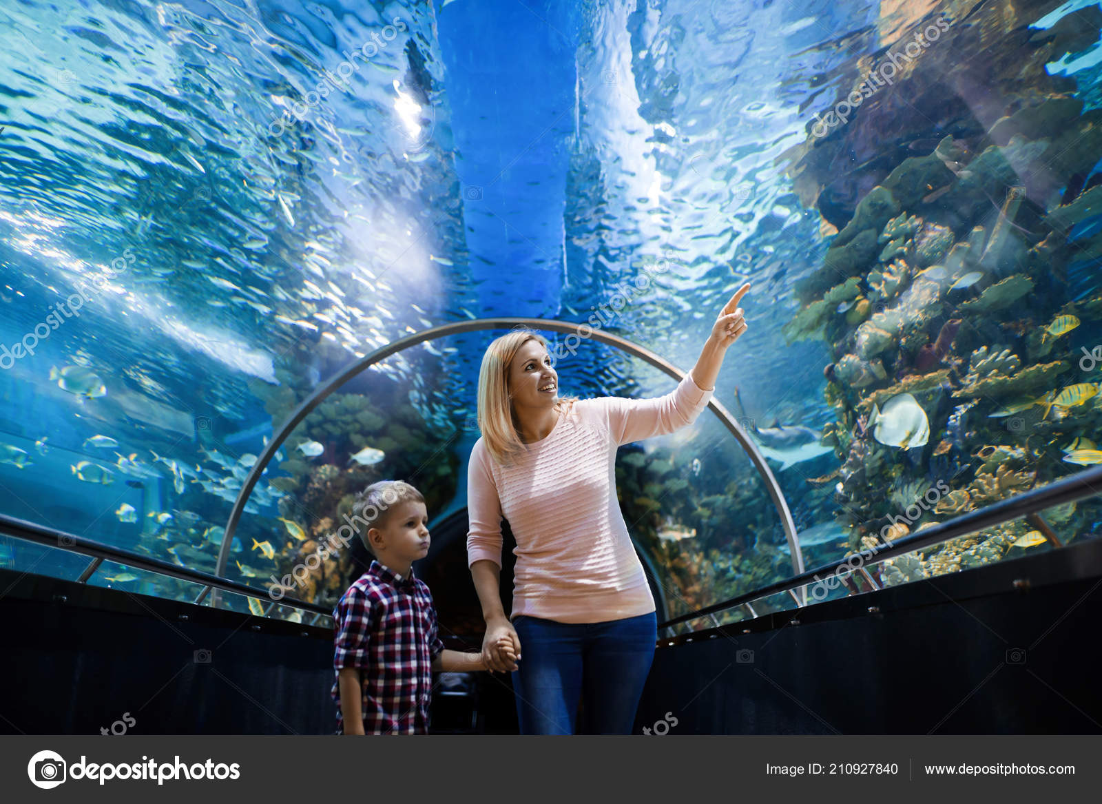 Fotos de Fascinante Madre Hijo Observando Vida Marina Oceanario ...