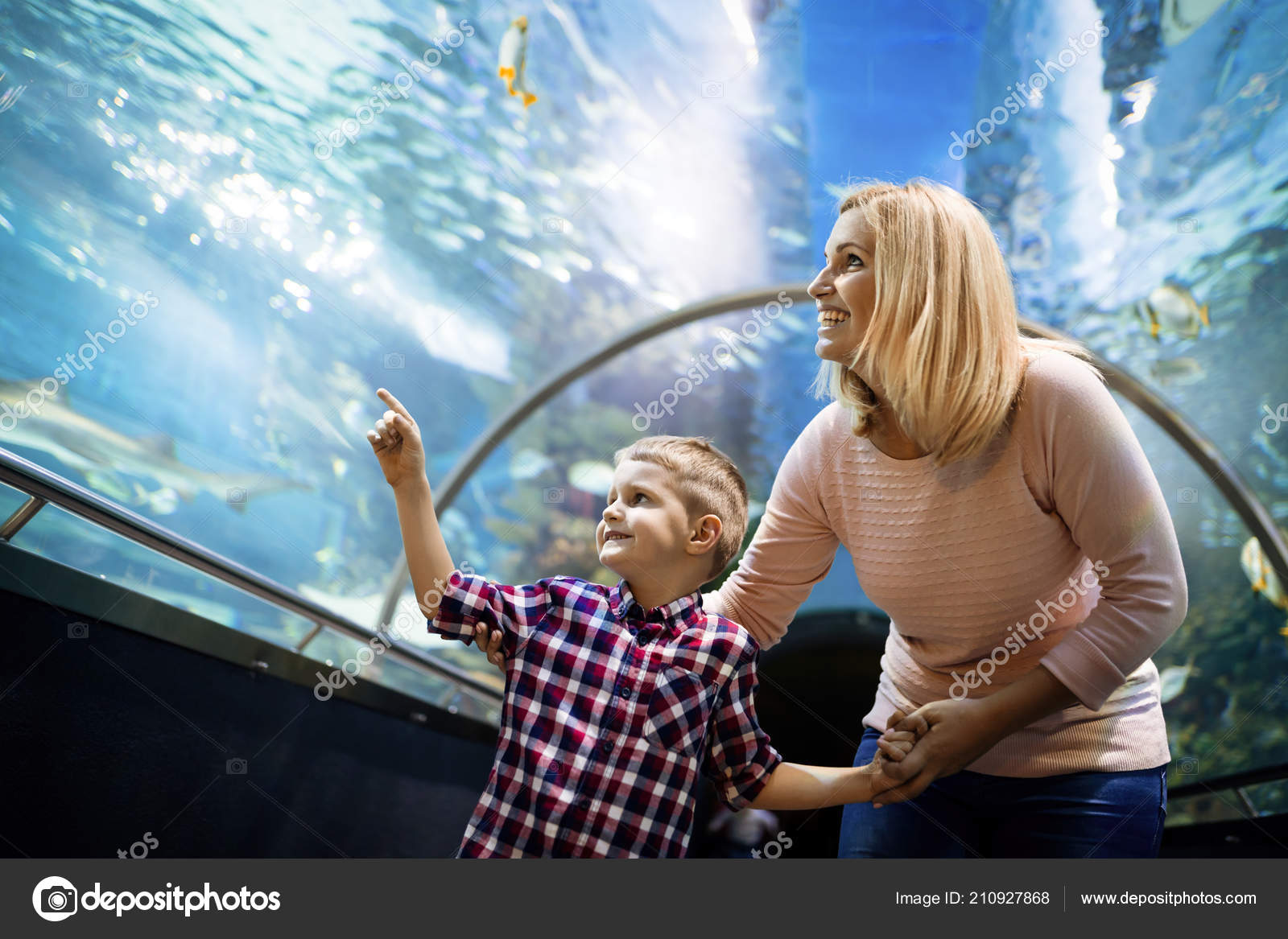 Fascinated Mother Son Watching Sea Life Oceanarium Stock Photo by ...