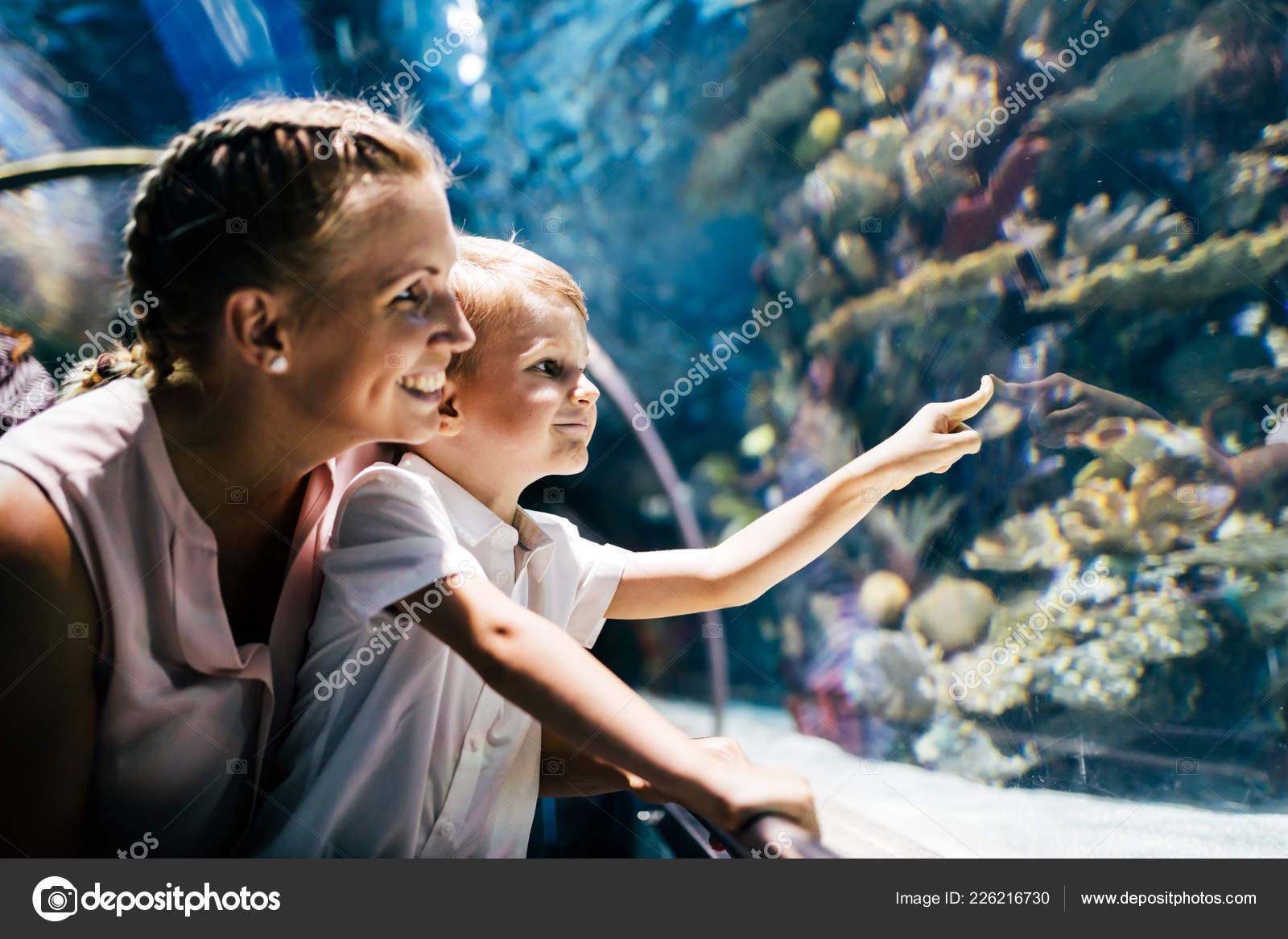Fascinated Mother Son Watching Sea Life Oceanarium Stock Photo by ...