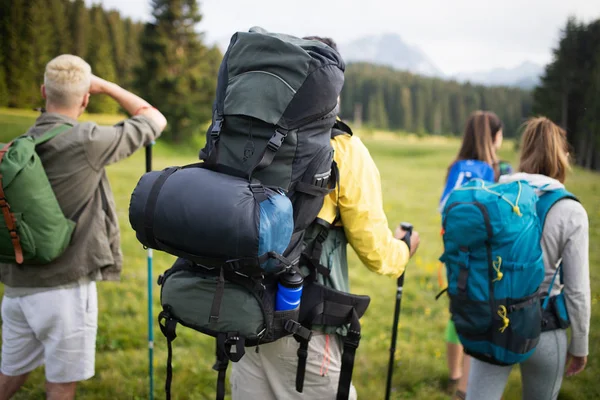 Group of hikers with backpacks and sticks walking on mountain - Stock ...