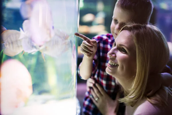 Fascinated mother and son watching sea life in oceanarium - Stock Image ...