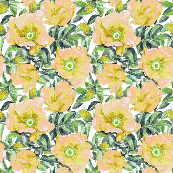 Fotos de Flora fresco, Imagens de Flora fresco sem royalties ...