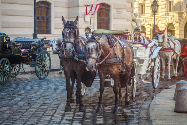 Beautiful horse drawn carriage Stock Photos, Royalty Free Beautiful ...