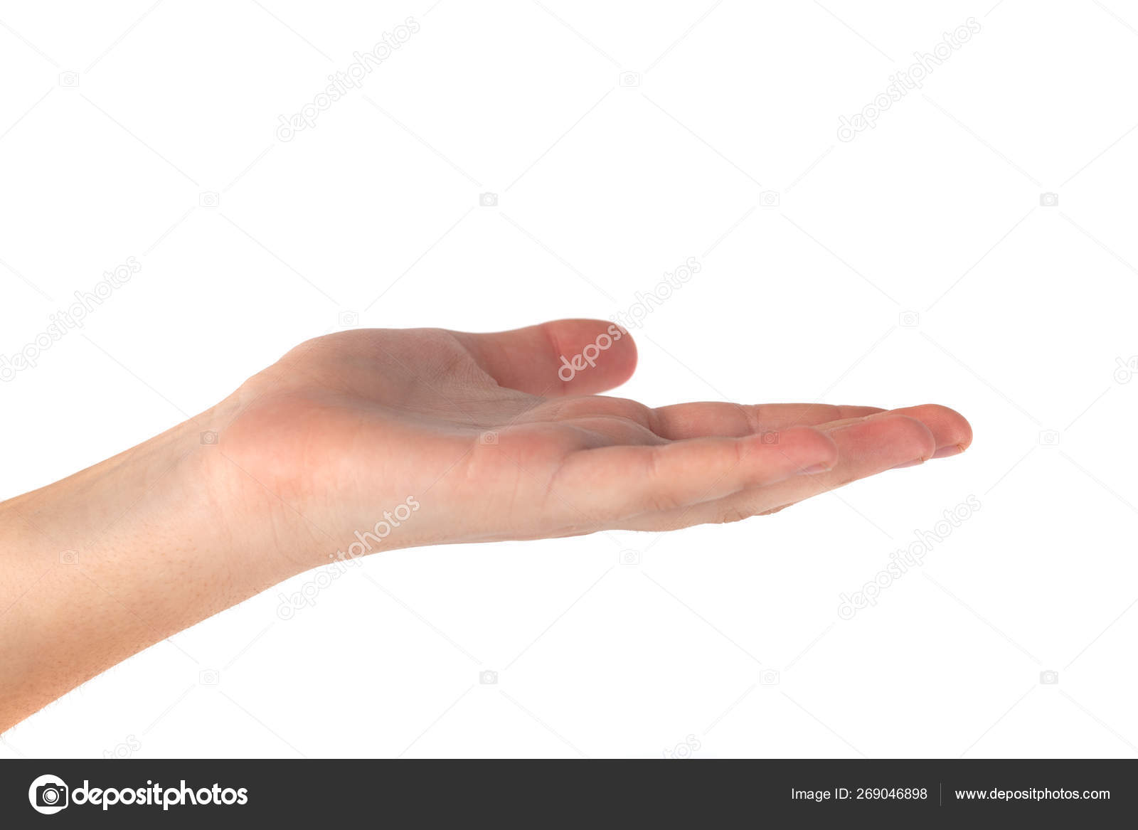 Beautiful woman's hand, palm up. Isolated on white background Stock ...