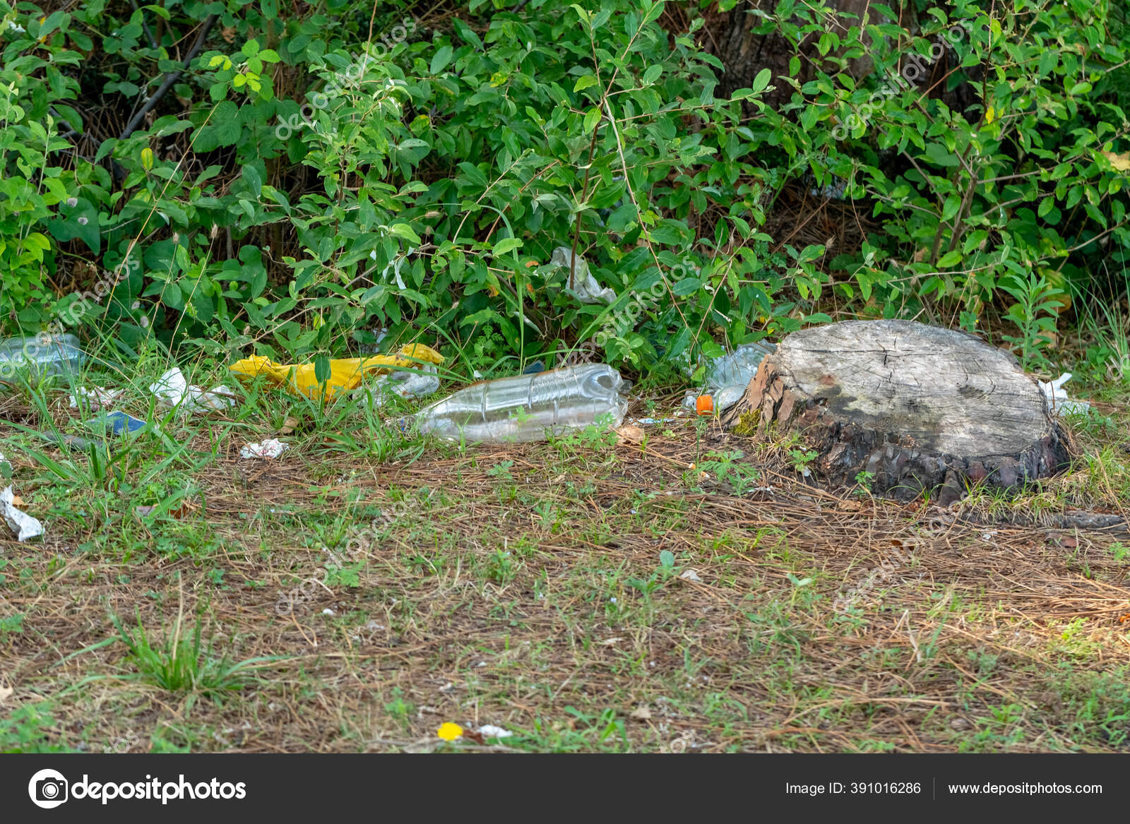 Medio Ambiente Contaminado Botellas Plástico Bosque Naturaleza — Foto ...