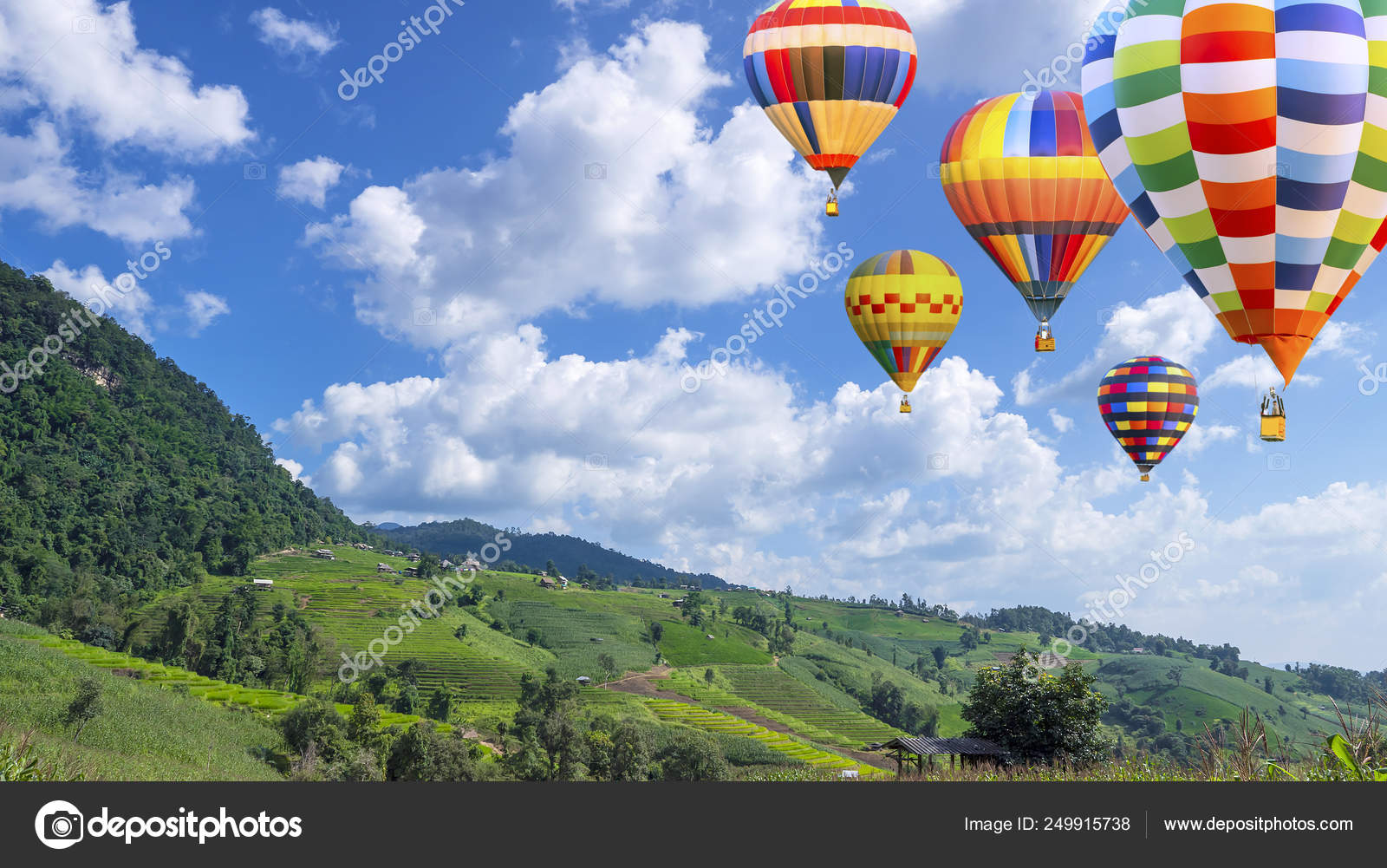 Colorful hot air balloon fly over green paddy field 6 — Stock Photo ...