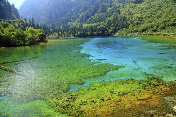 Jiuzhaigou national park Stock Photos, Royalty Free Jiuzhaigou national ...