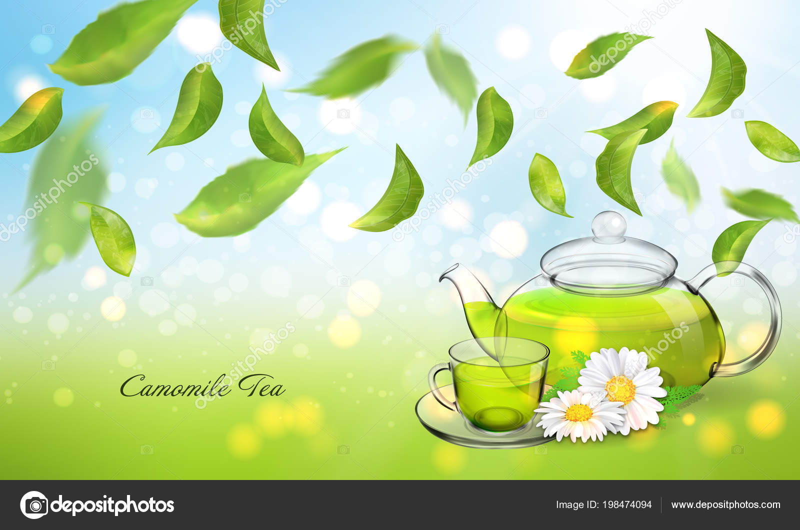 Procurement Brochure Chamomile Tea Transparent Glass Teapot Cup Vector ...