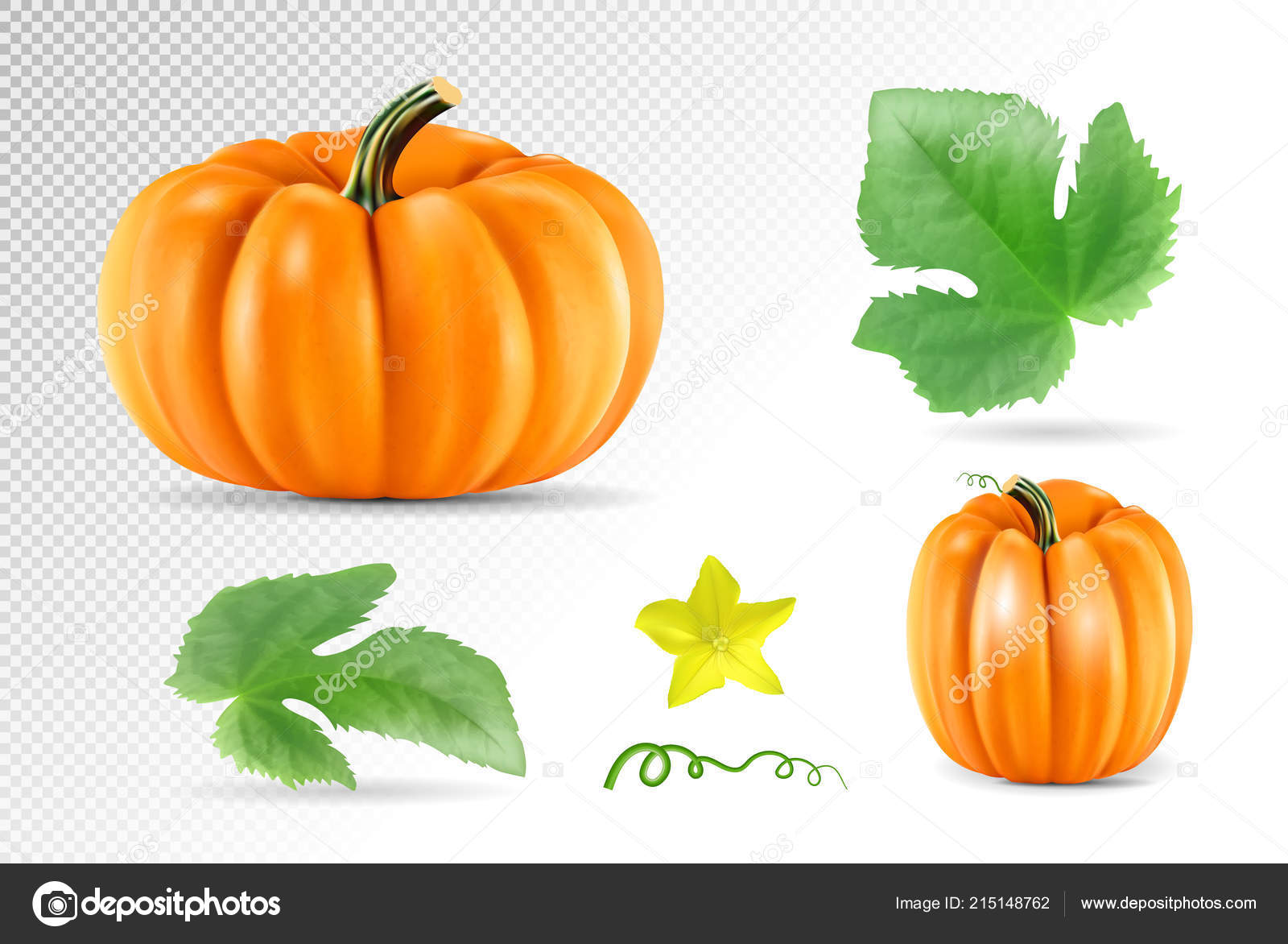 Set Vegetable Pumpkins Green Leaves Isolated Transparent Background ...
