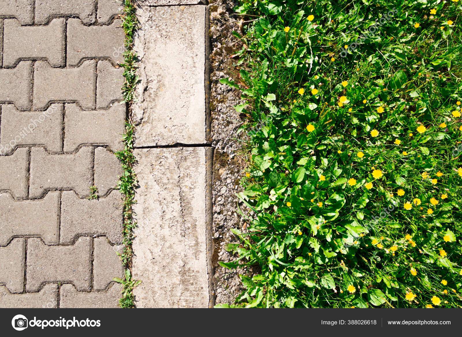Walk Path Park Green Grass Leaves Autumn Stock Photo by ©Madrolly 388026618