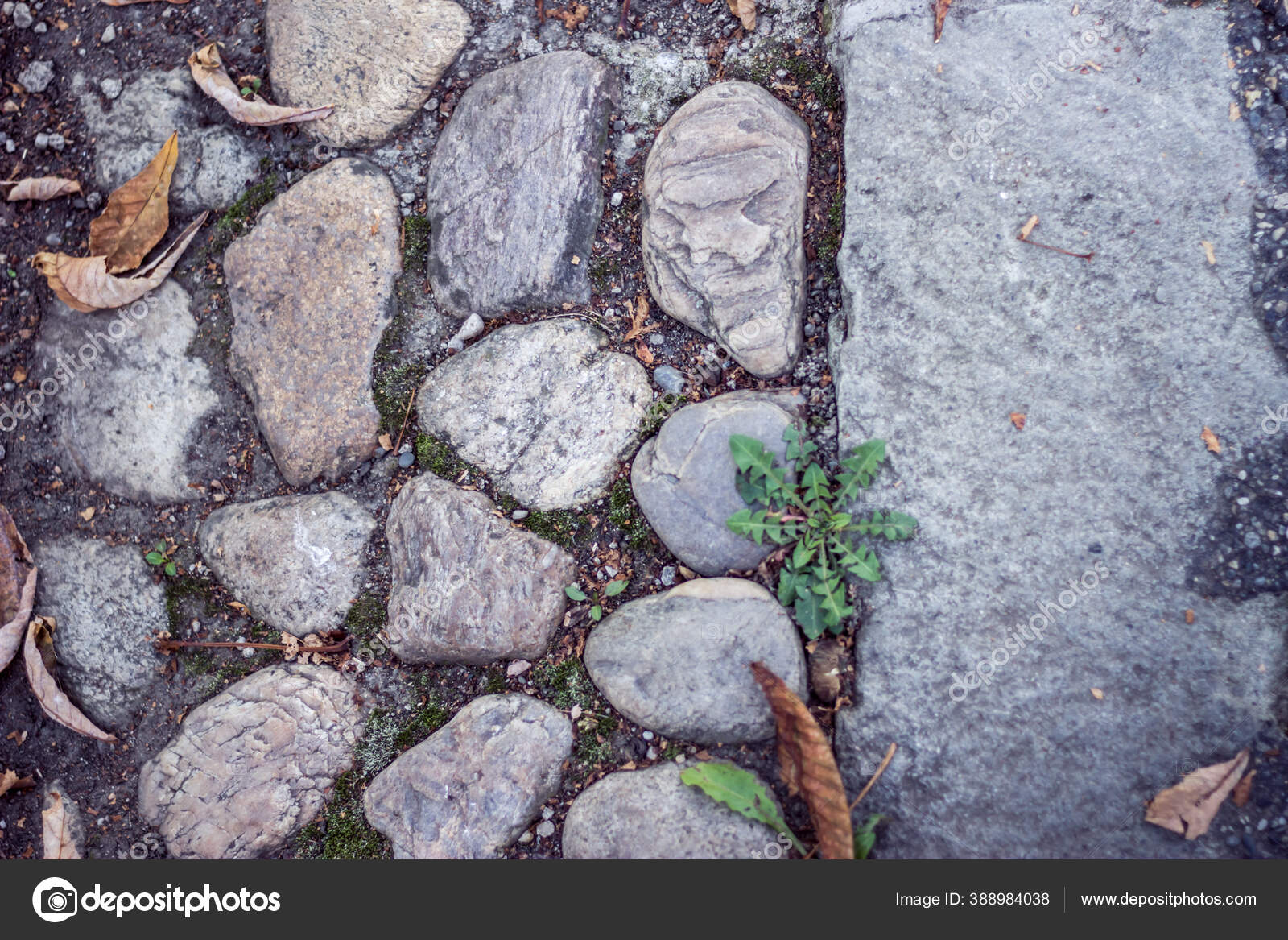 Top View Paved Road Rocks Nature Background — Stock Photo © Madrolly ...