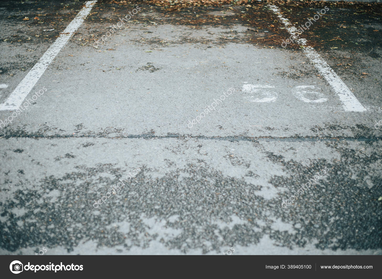 Rough Weathered Cement Path White Margins Park Damaged Cracked Pathway ...