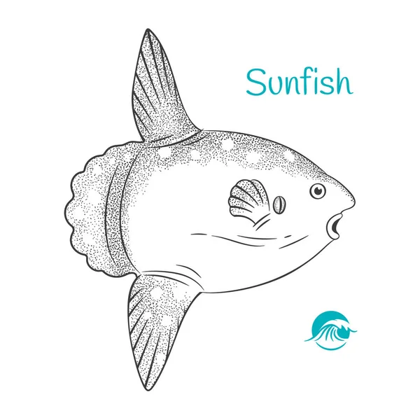 ᐈ Sunfish cartoon stock images, Royalty Free mola drawings | download ...