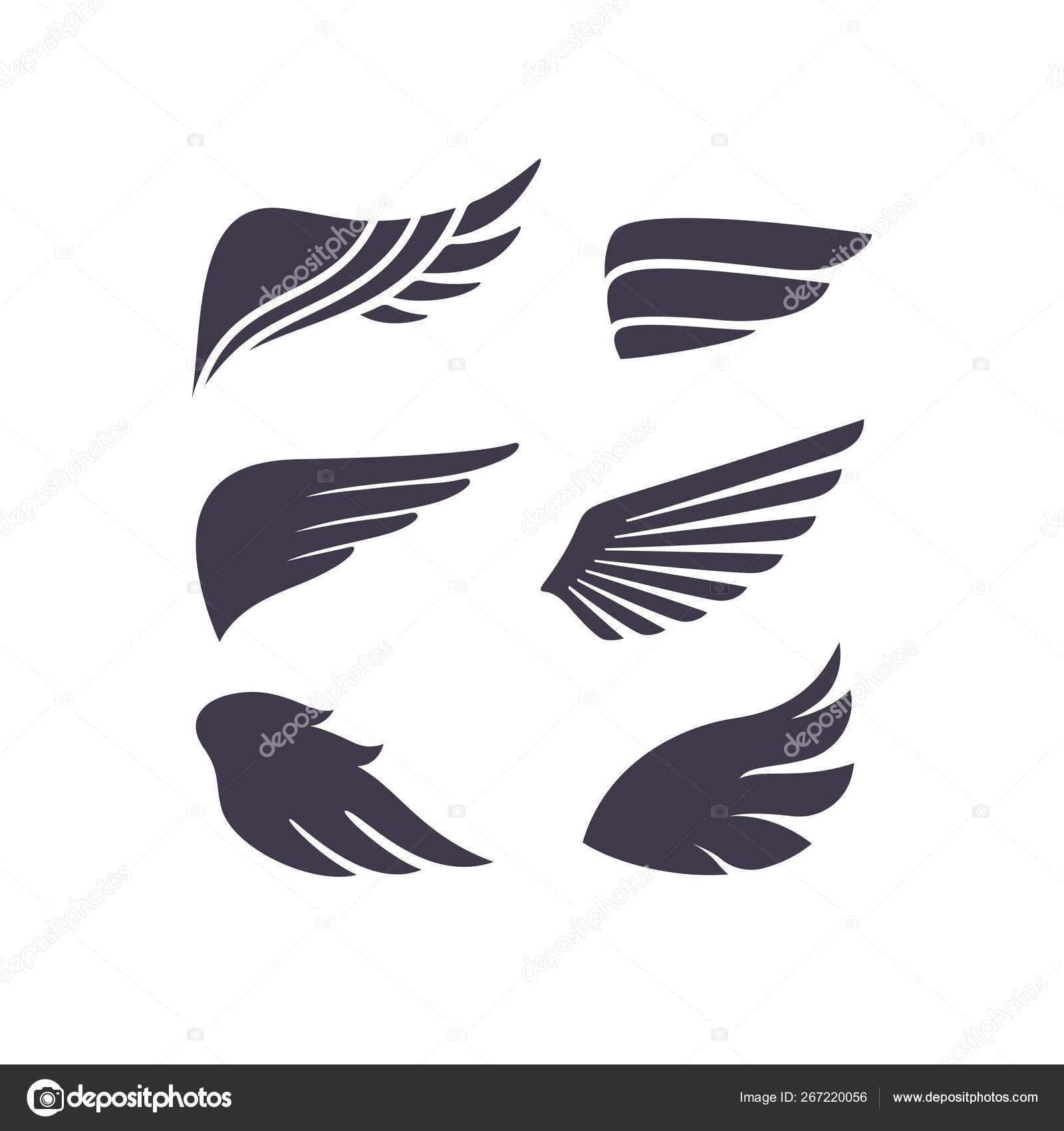 Bird Wings Design