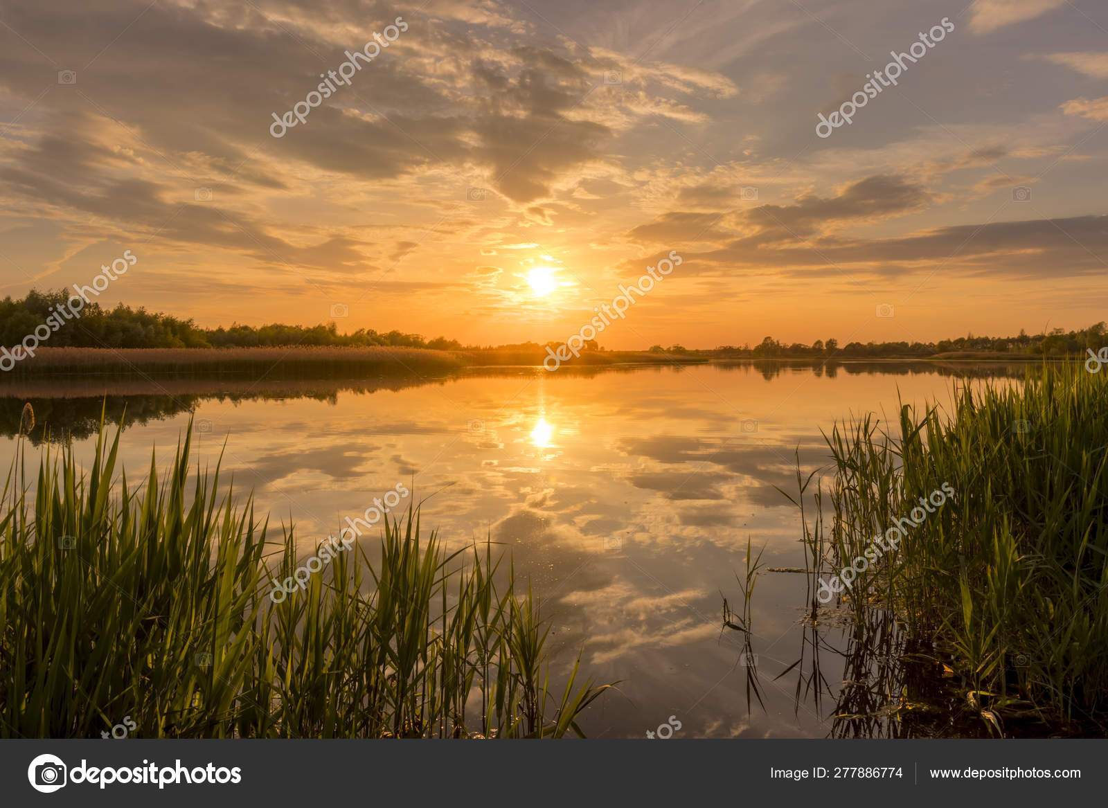 Sunset above the pond or lake with cloudy sky at summer and wate Stock ...
