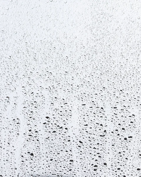 Rain overlay Images - Search Images on Everypixel