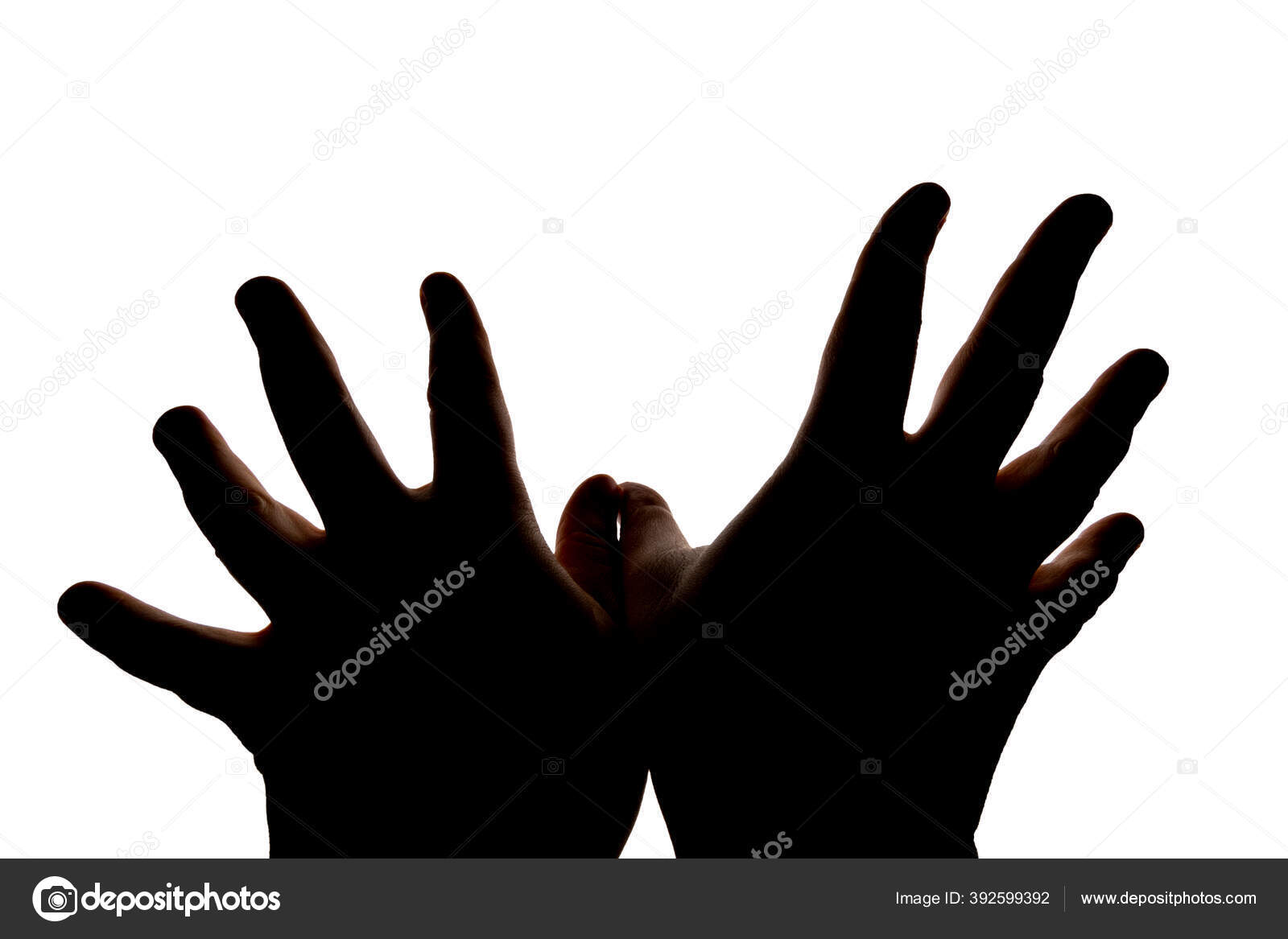Silhouette Hands Showing Flying Bird Wings Gesture Isolated White ...