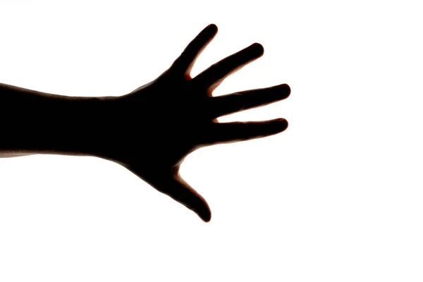 Silhouette Hands Showing Flying Bird Wings Gesture Isolated White ...