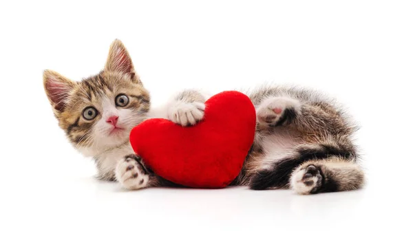 Imágenes de Corazón de gatito, fotos de Corazón de gatito sin royalties ...