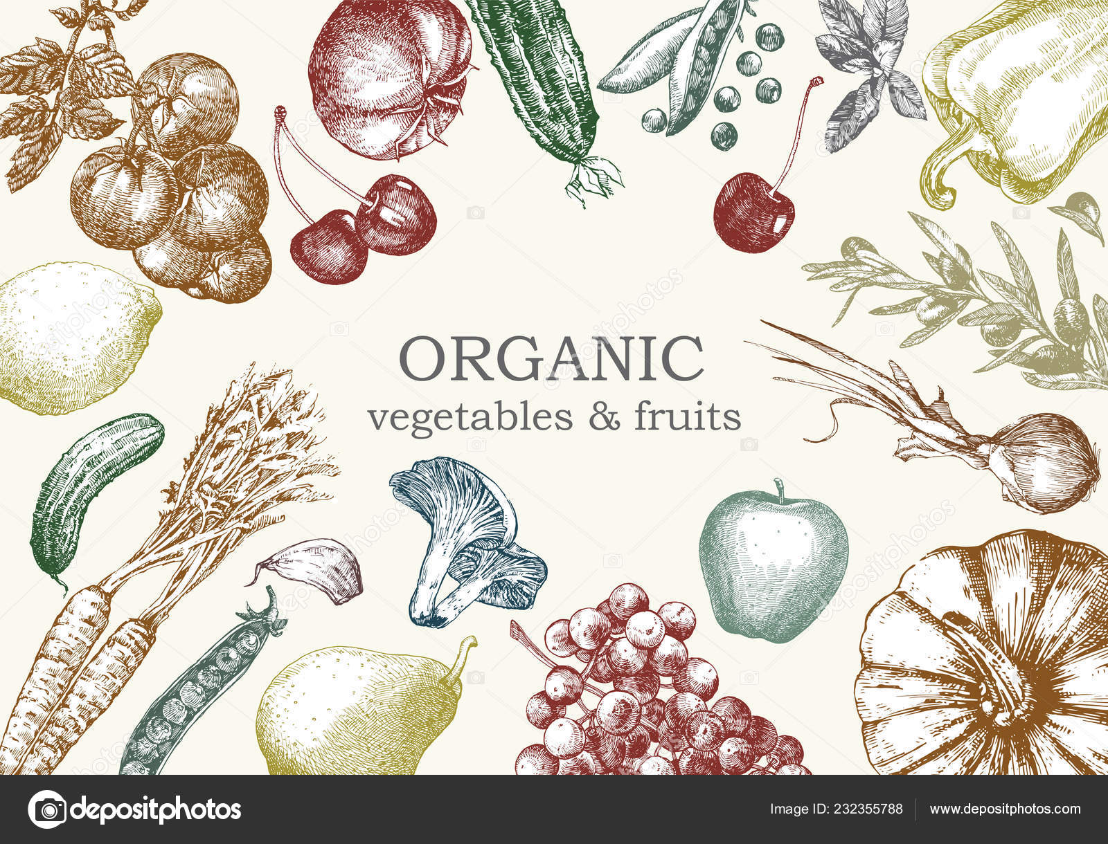 Hand Drawn Illustration Vegetables Fruits Vector Stock Vector Image by ...