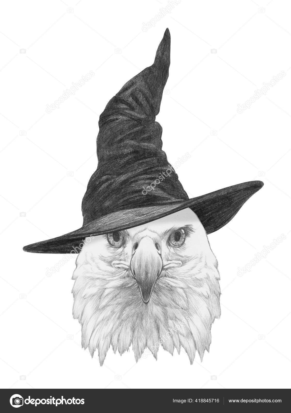 Cute Hand Drawn Illustration Eagle Wizard Hat Stock Photo by ©Victoria ...