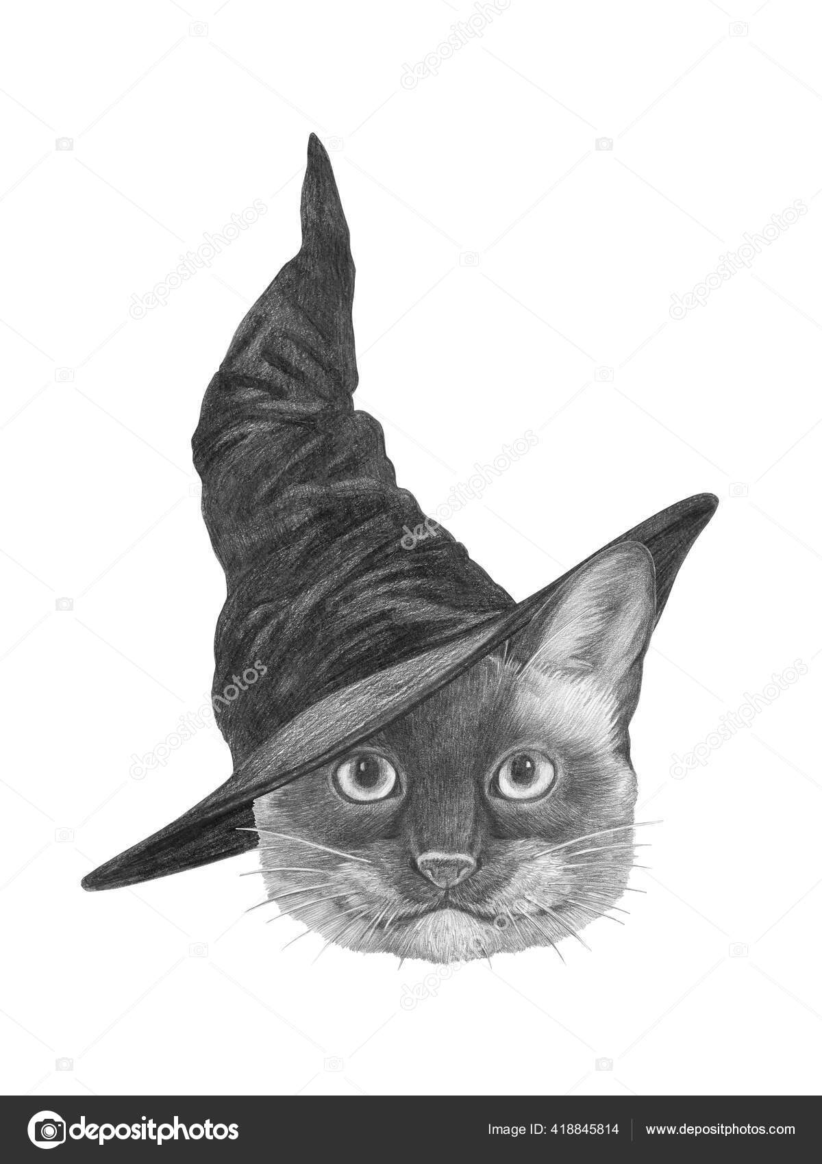 Cute Hand Drawn Illustration Cat Wizard Hat — Stock Photo © Victoria ...