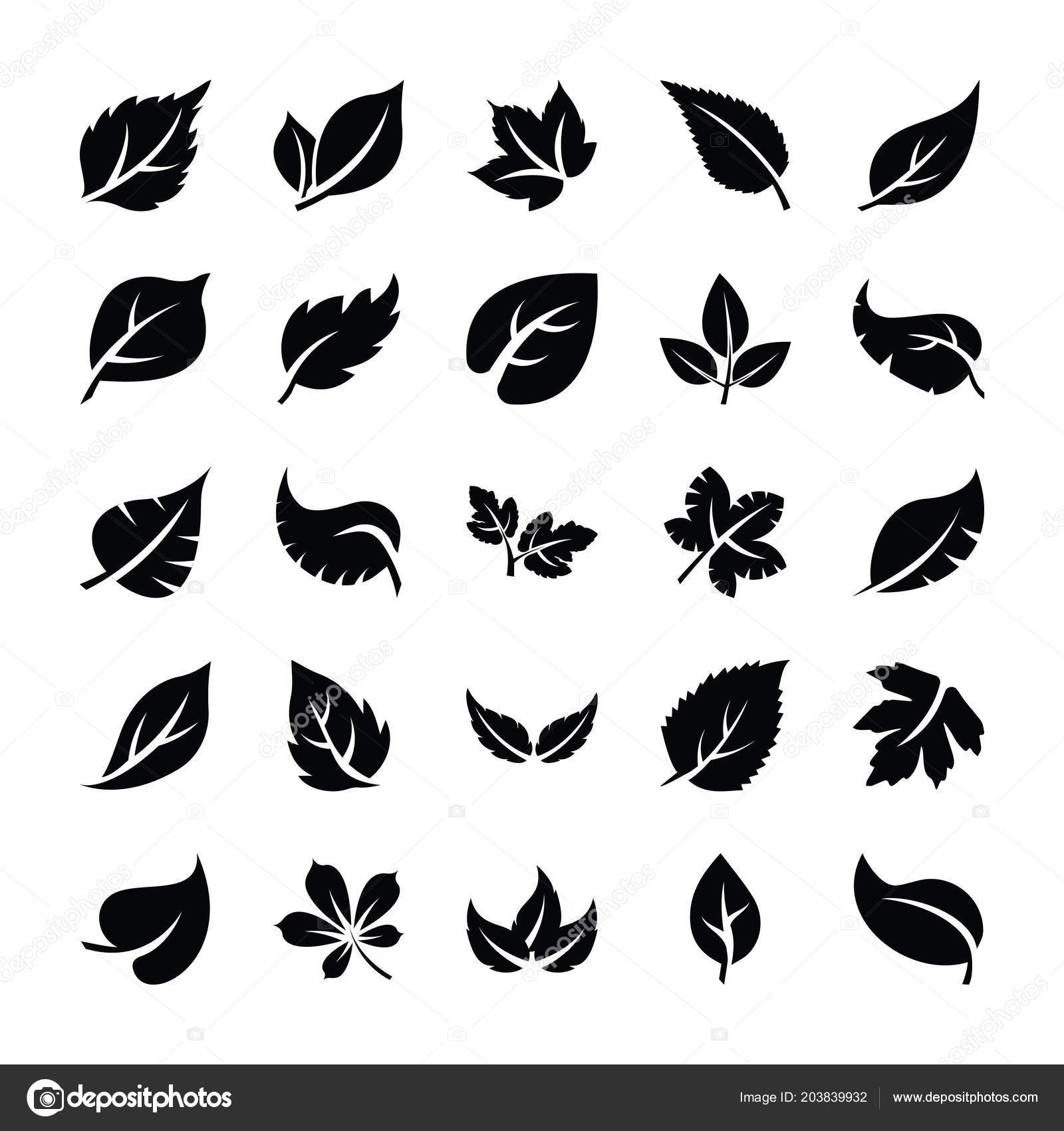 Leaf Vector Glyph Iconos Vector de stock #203839932 de ©vectorsmarket