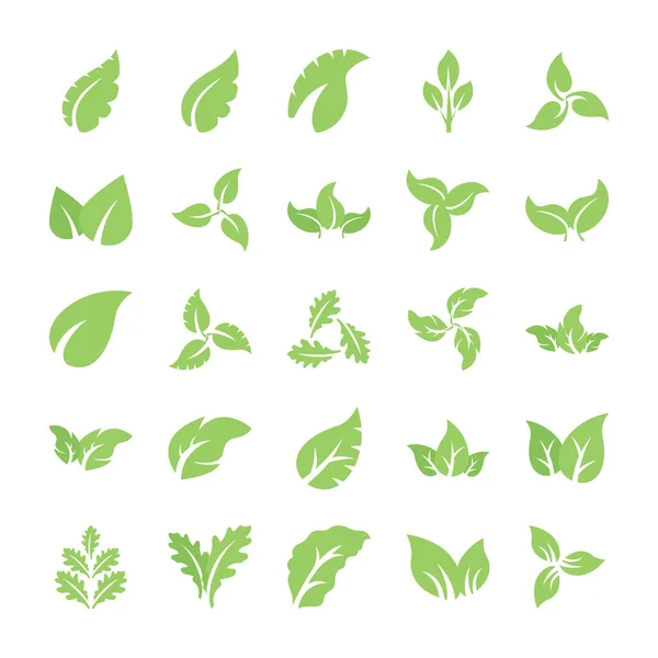 4,589 Three leaves Vector Images | Depositphotos