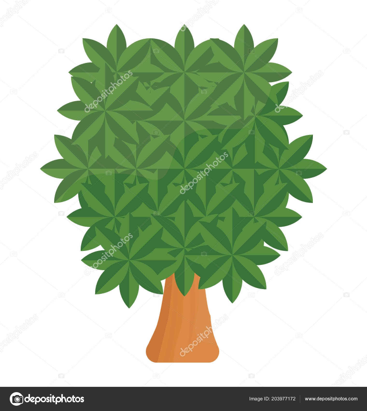 Evergreen Deciduous Tree Sassafras Flat Vector Icon Stock Vector Image ...