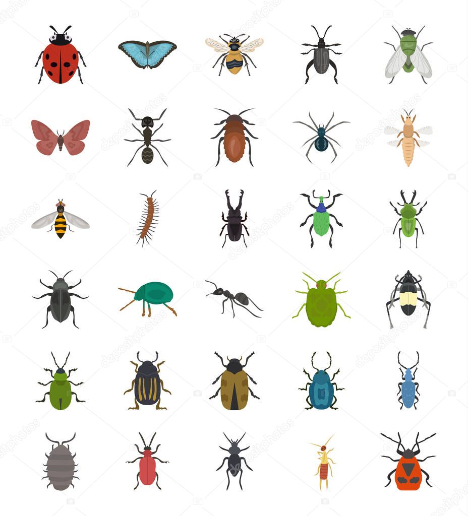 Paquete de iconos planos de insectos 2022