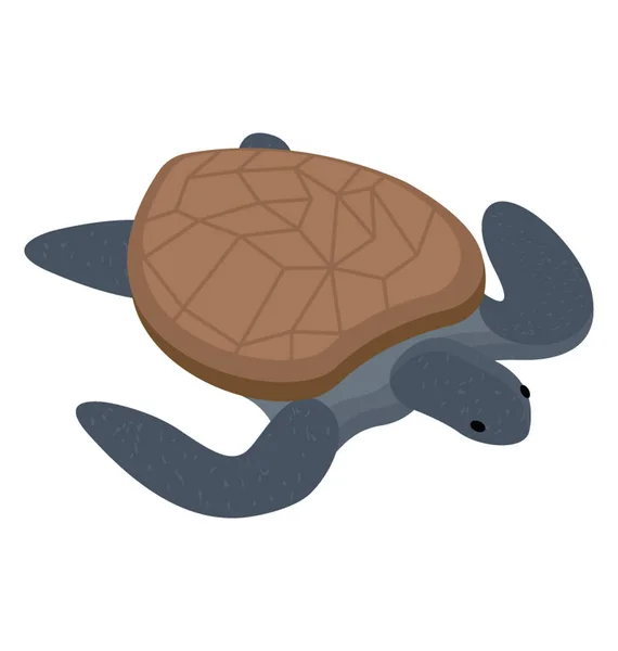 Turtle isometric Vector Art Stock Images | Depositphotos