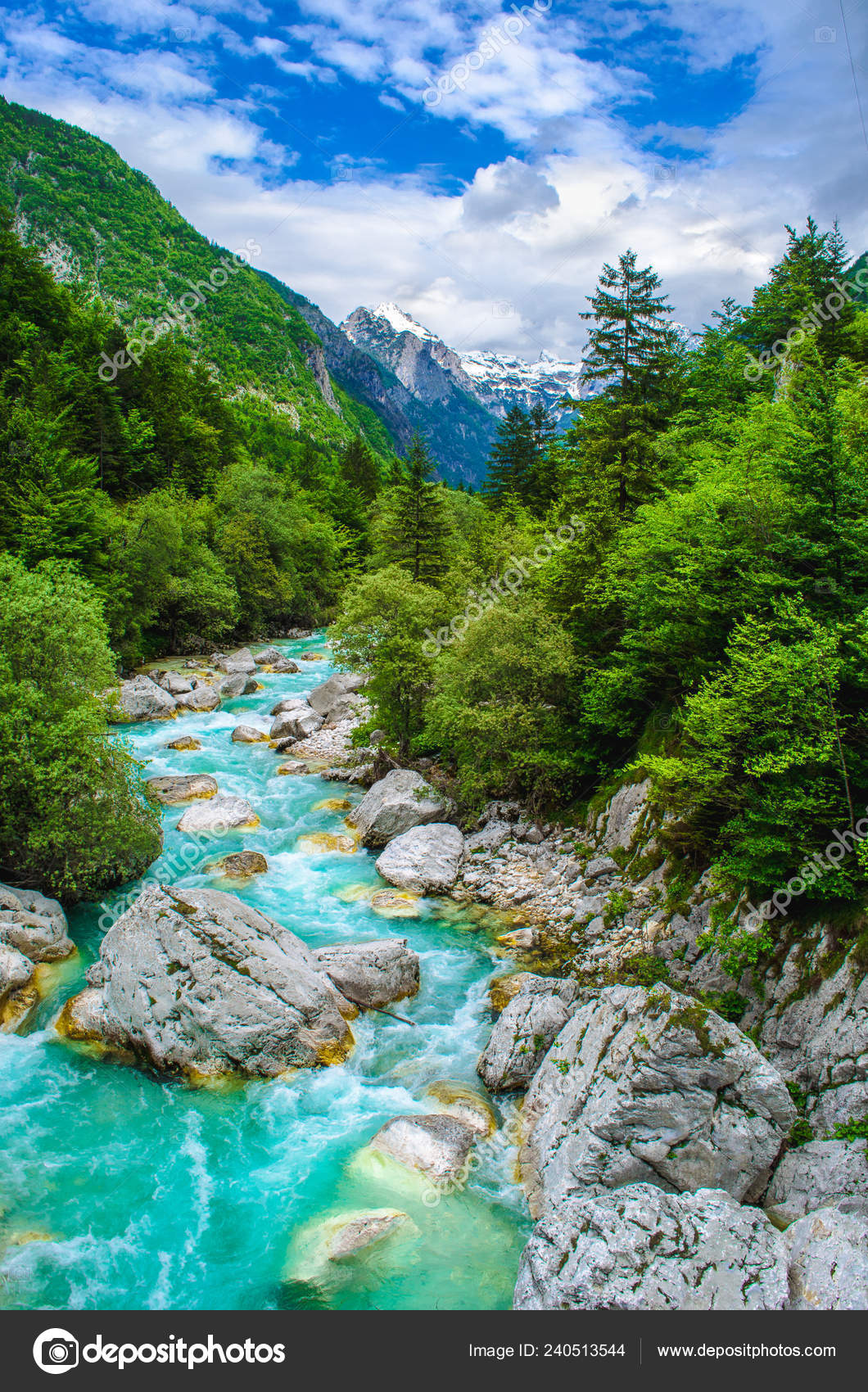 Vertical Nature Photography