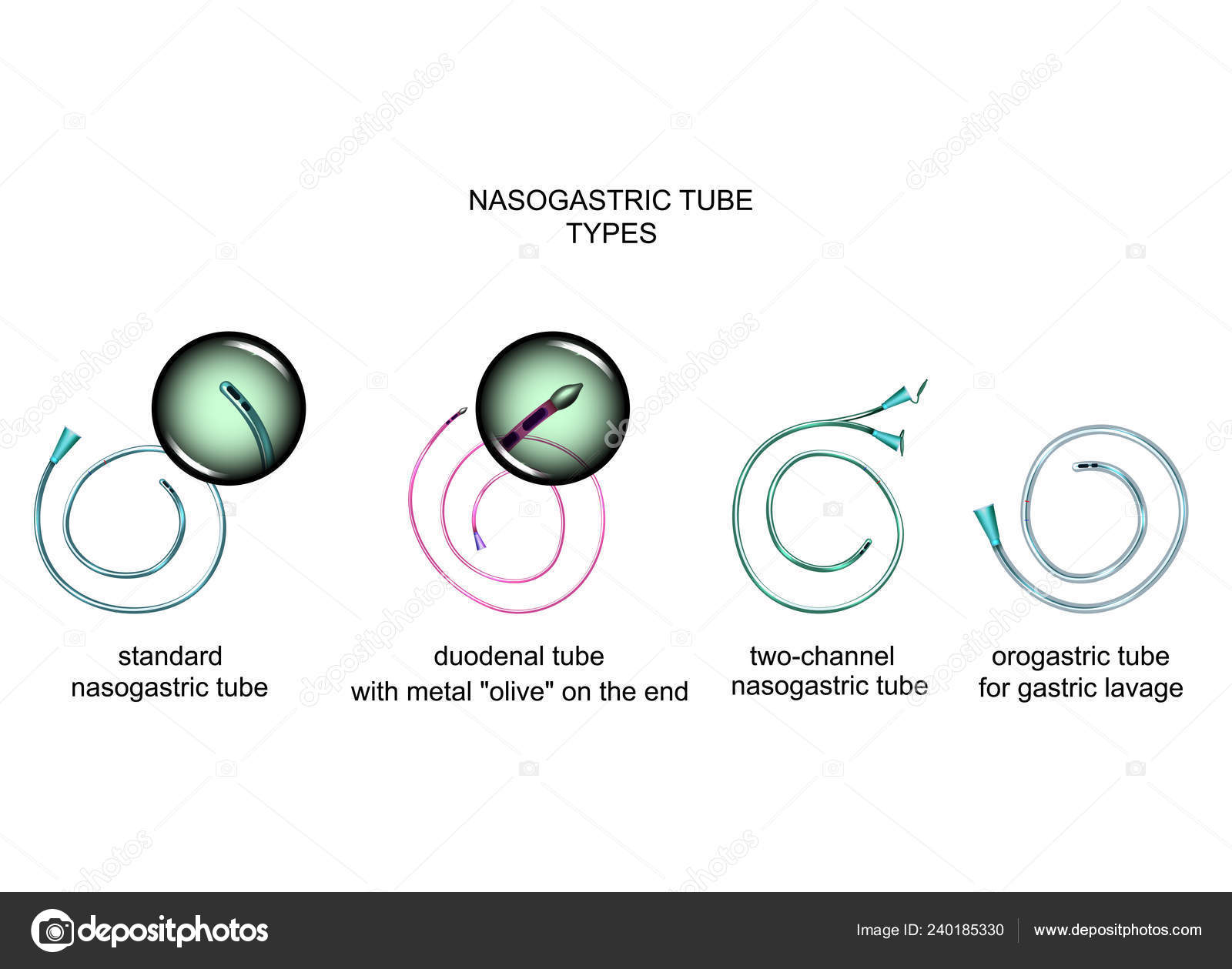 Vector Illustration Types Nasogastric Tubes Stock Vector Image by ...