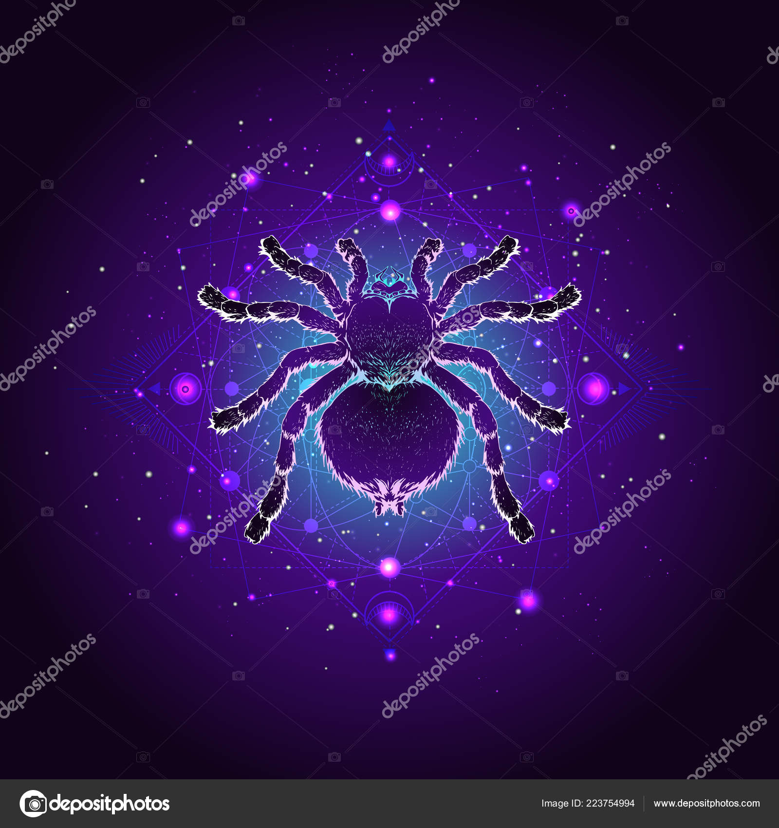 Vector Illustration Hand Drawn Spider Tarantula Sacred Geometric Symbol ...