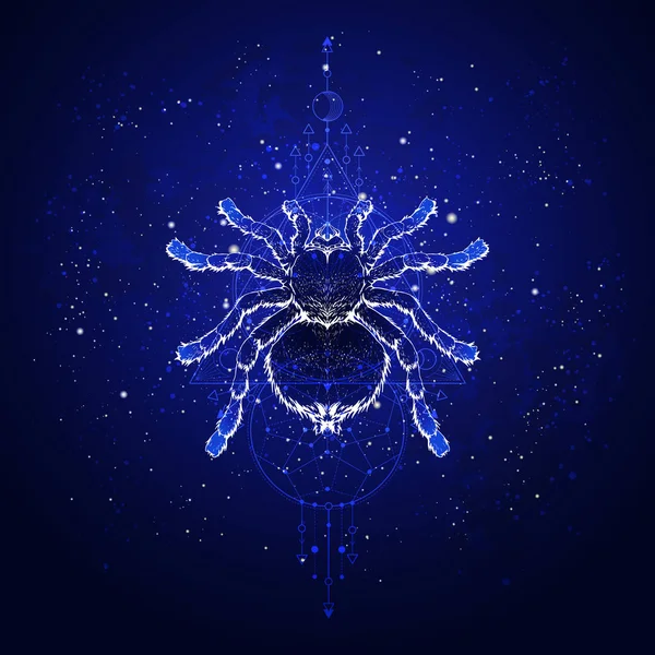Vector Illustration Hand Drawn Spider Tarantula Sacred Geometric Symbol ...