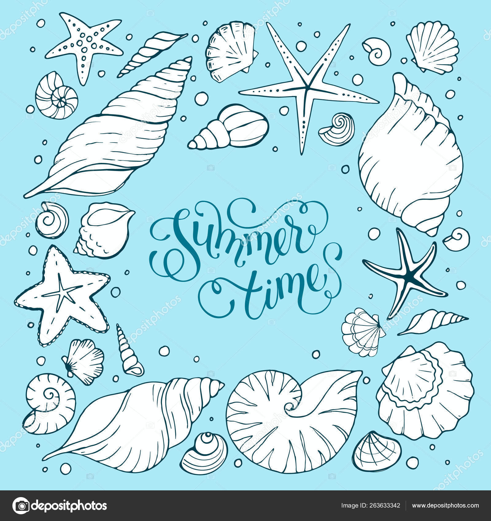 Sea shells illustration Stock Vector Image by ©ollymolly #263633342