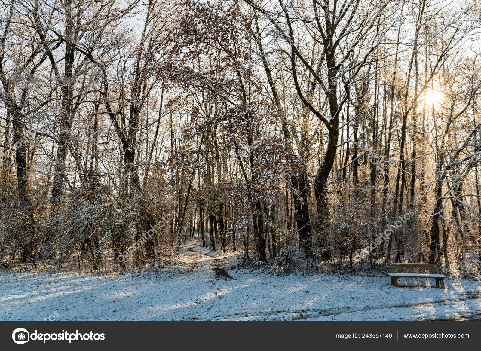 Sunset Cold White Winter Day Landscape Road Rural Area Frosted — Stock ...