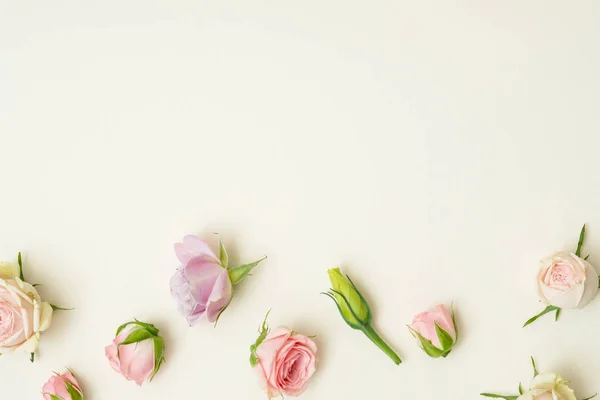Ivory Flower Background